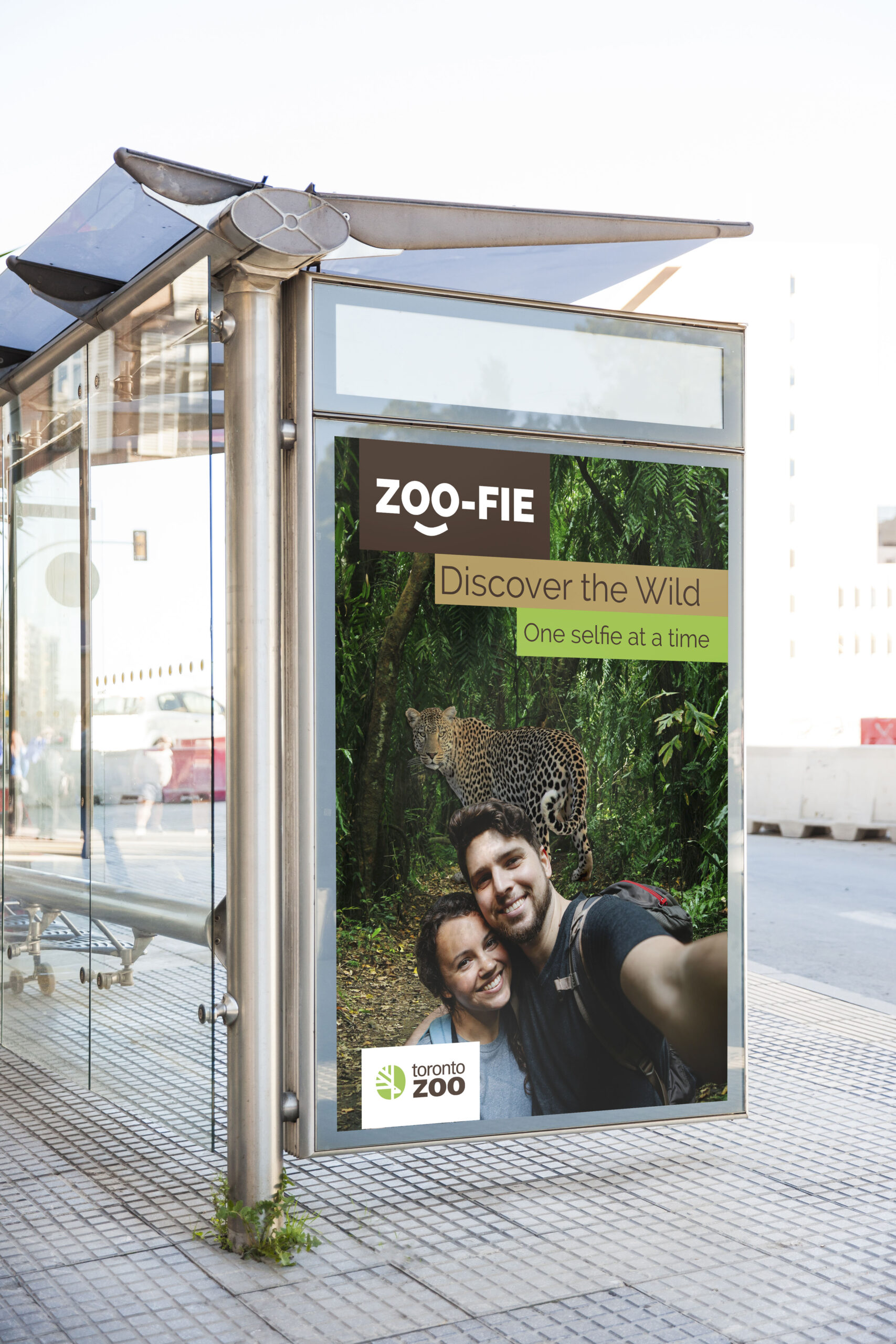 Toronto Zoo Campaign – Graphic Designer